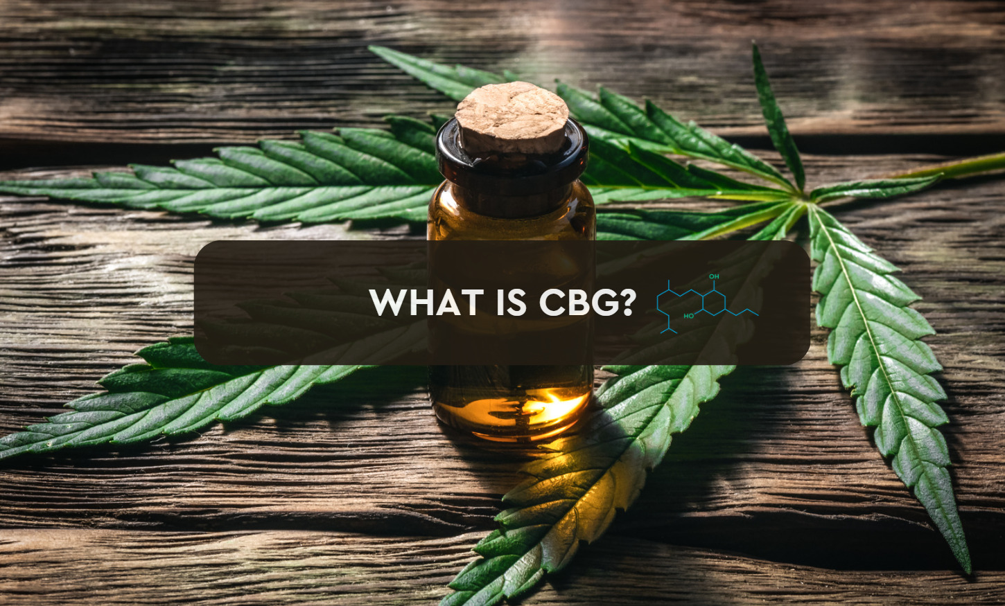 Home Cannabis Supply Co Home Cannabis Supply Co